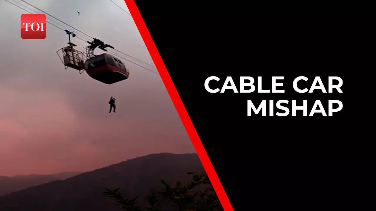 Timber Trail resort in Himachal Pradesh: Himachal Pradesh: Tourists ...