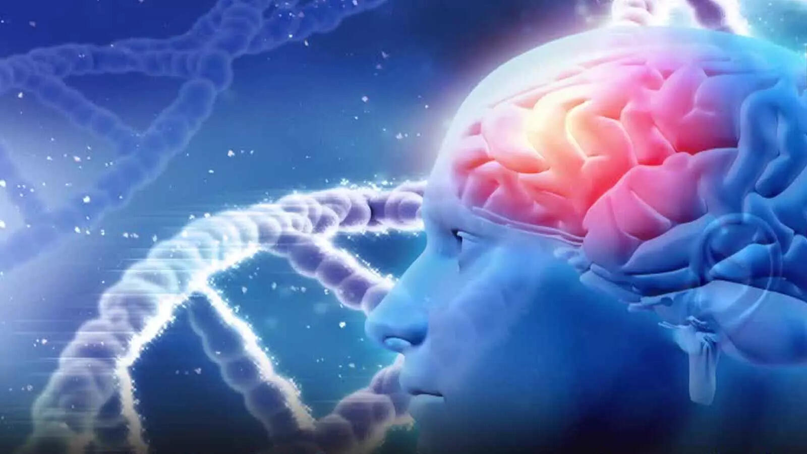 Study: Women have more brain changes after menopause