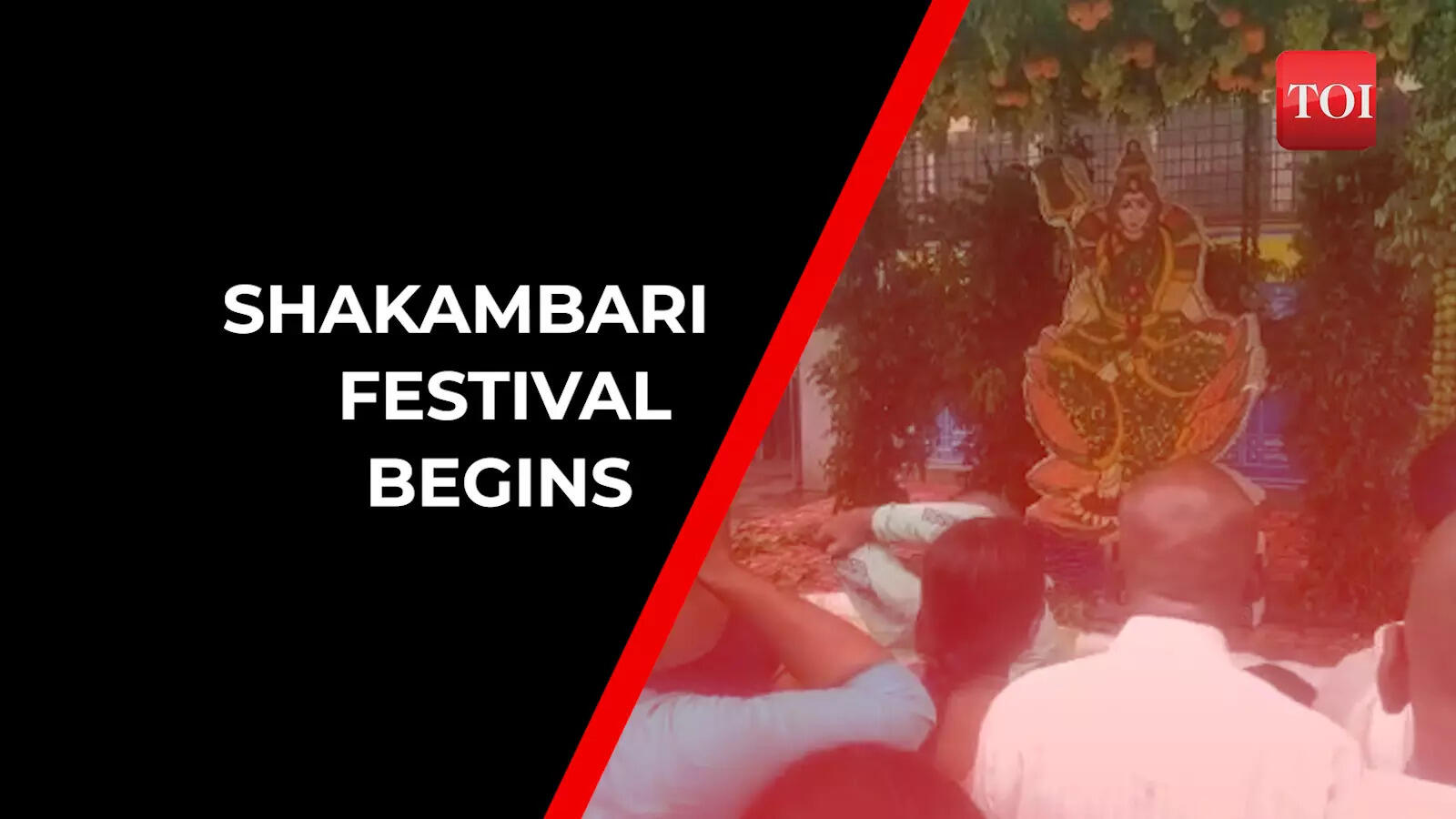 Andhra Pradesh: 3-day annual Shakambari festival begins in Vijayawada