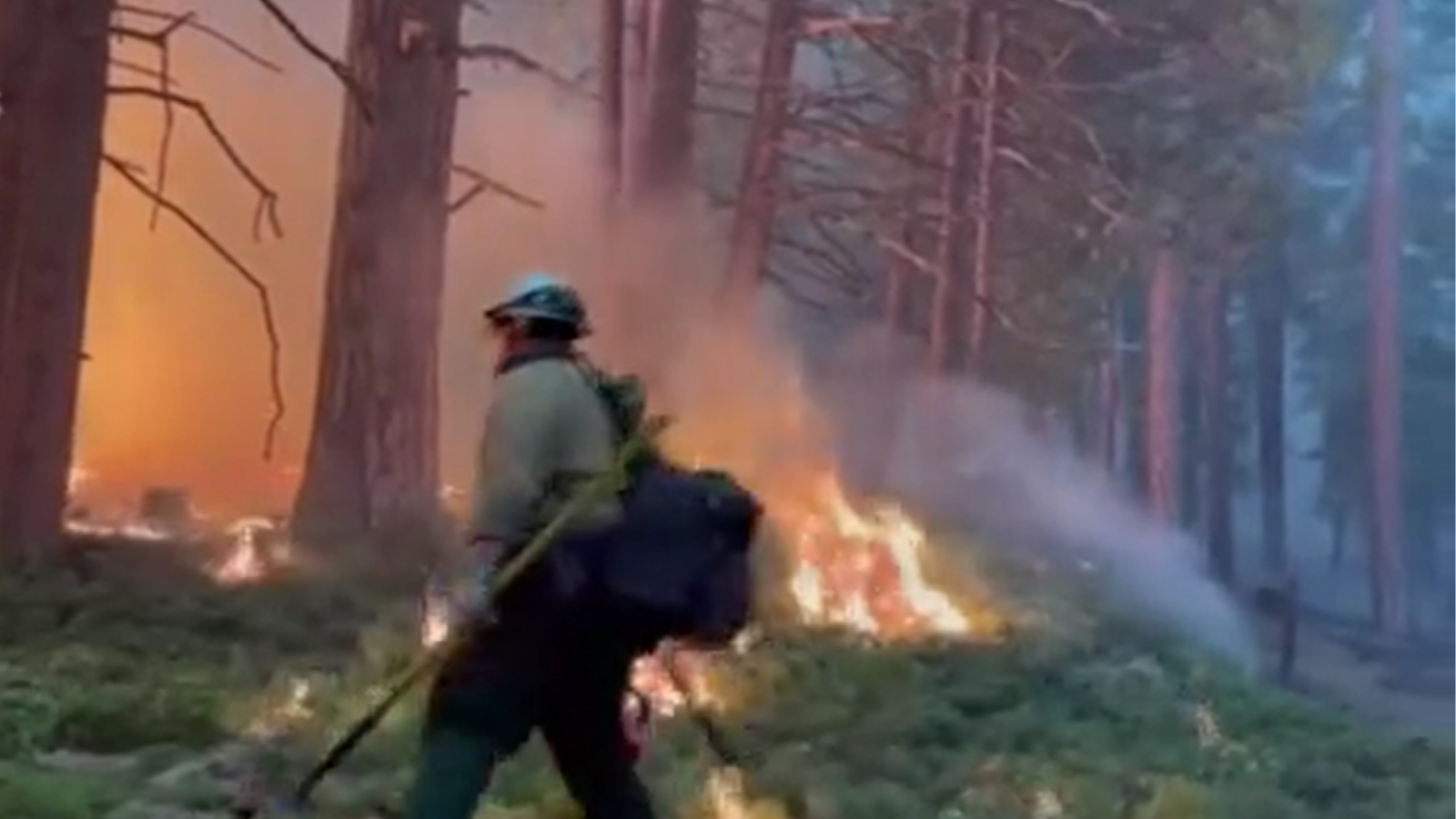 California crews gain ground on Yosemite wildfire