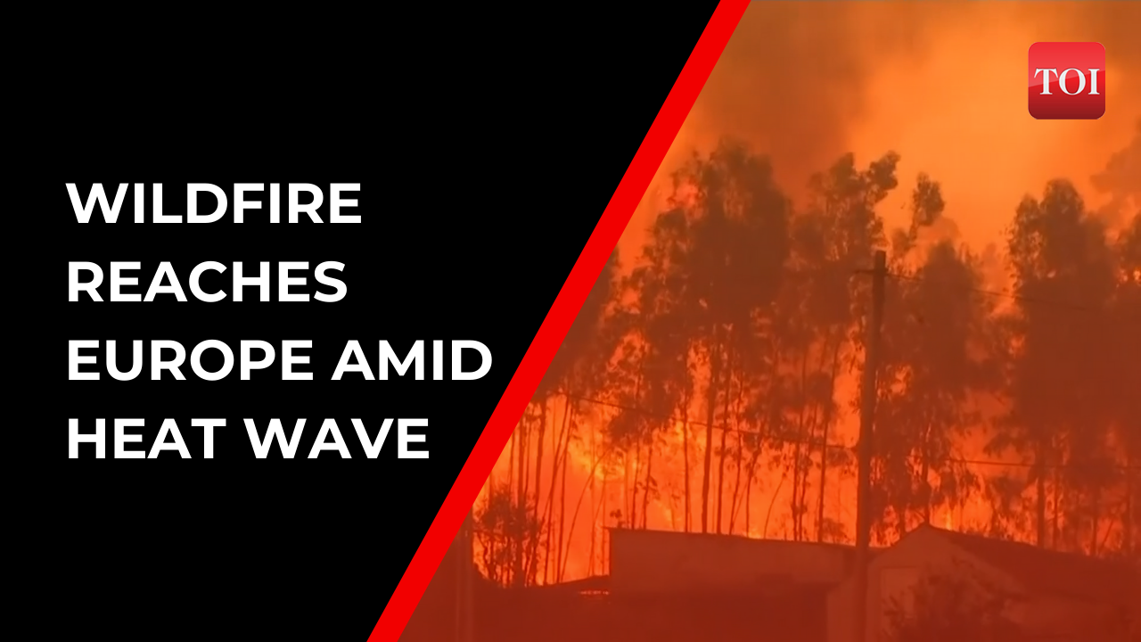 Wildfires scorch parts of Europe amid extreme heat wave