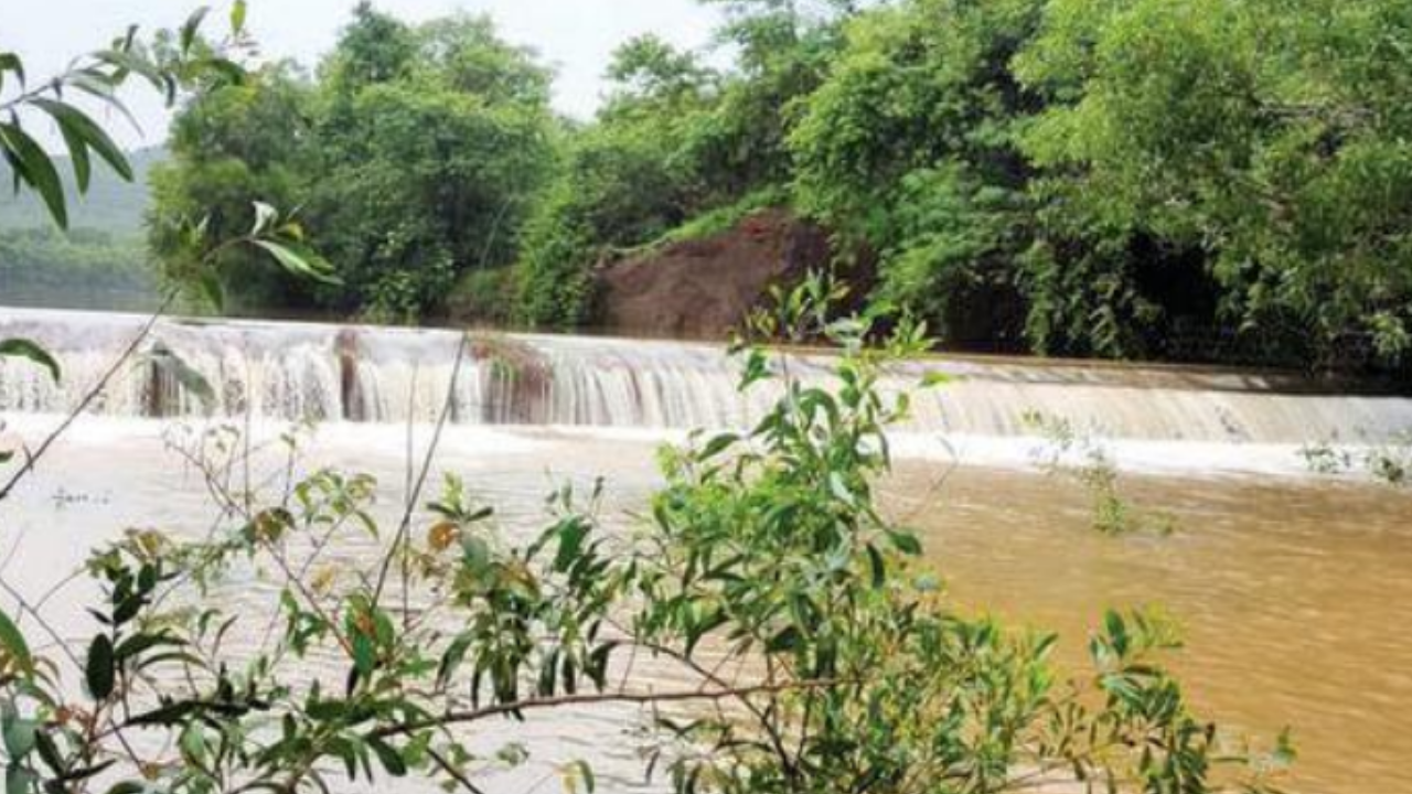 Monsoon bounty: Most reservoirs in Goa reach capacity…