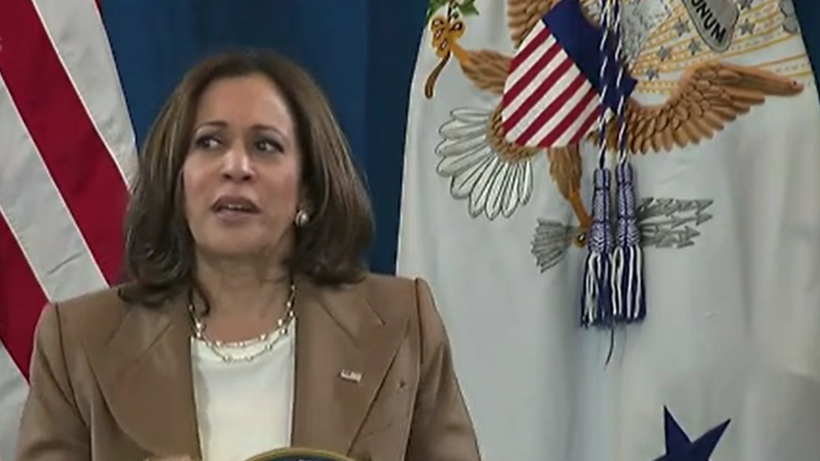 Kamala Harris: Overturning Roe is 'deeply harmful'