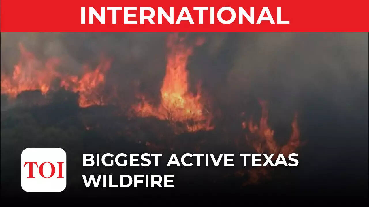 texas wildfires: US Wildfires: 4,000 acres burnt in Texas amid high ...
