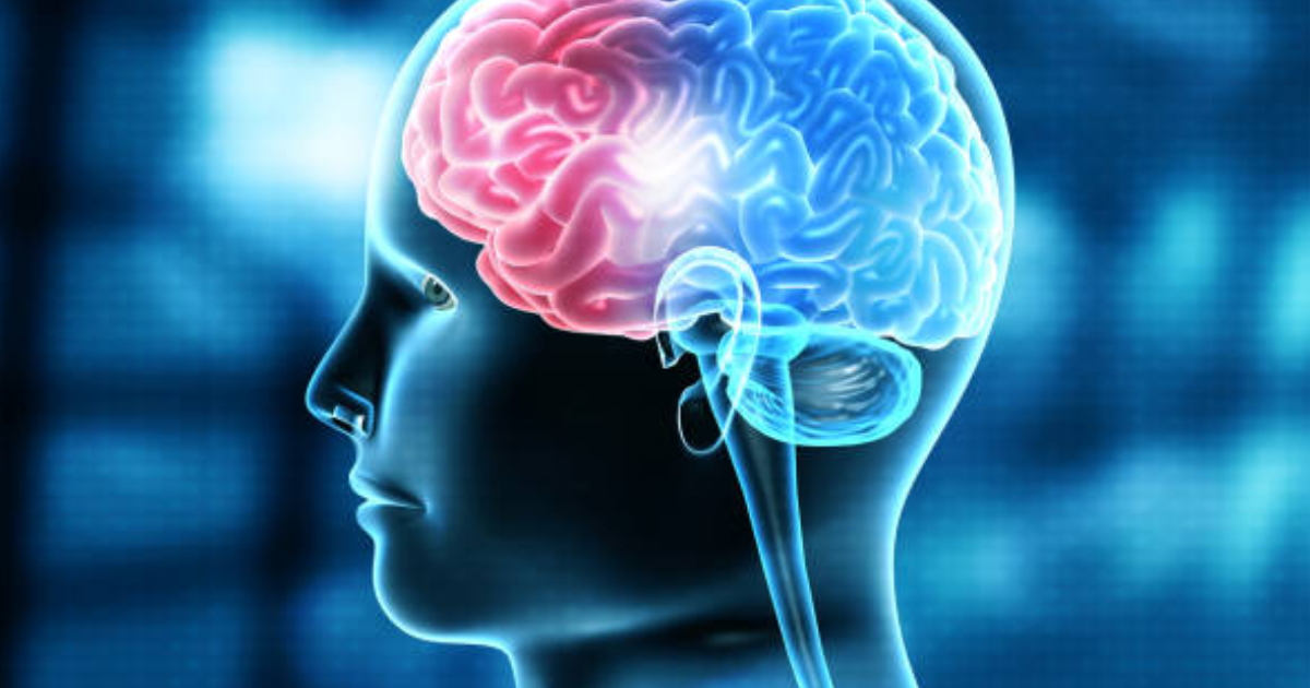 World Brain Day 2022: How to keep your brain active and alive