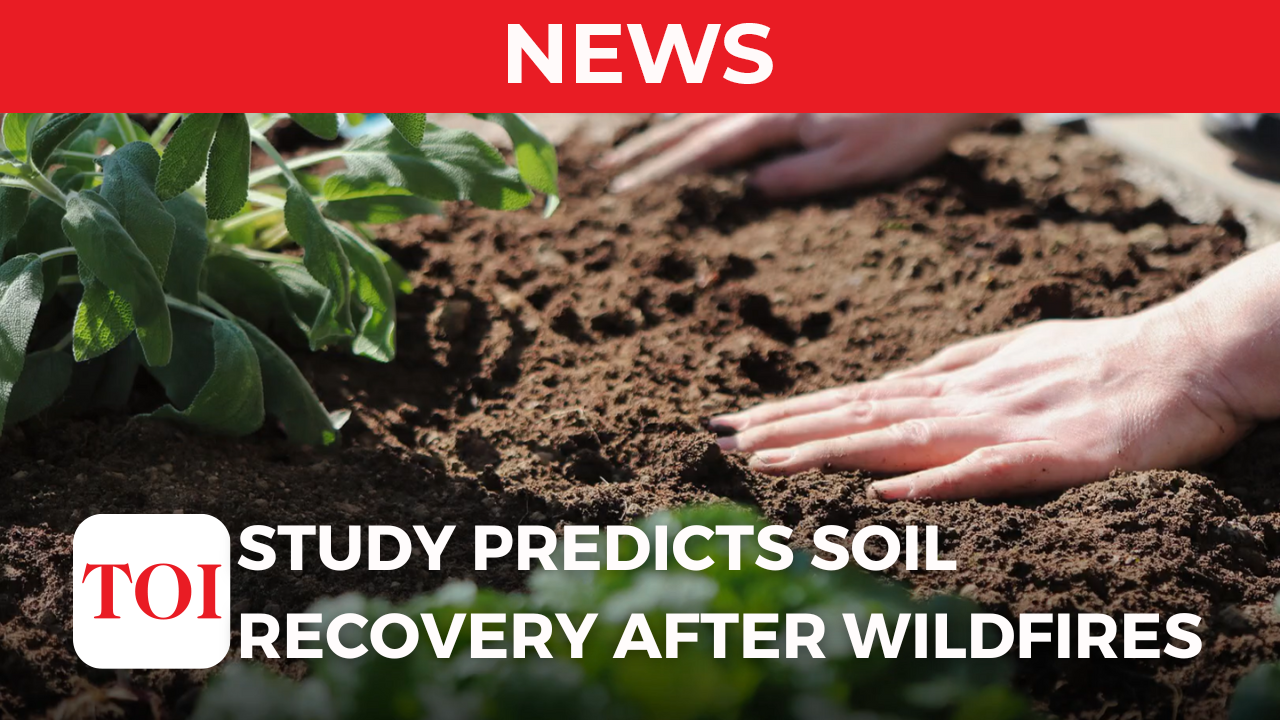 Study predicts soil recovery following wildfires