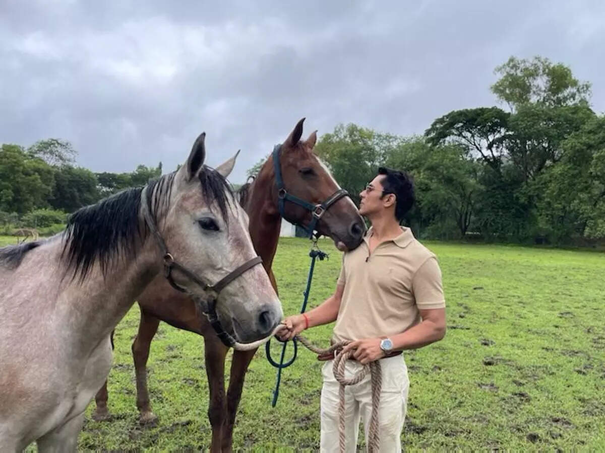 Randeep Hooda meets his foal ‘Hope’ for the first time, and the ...