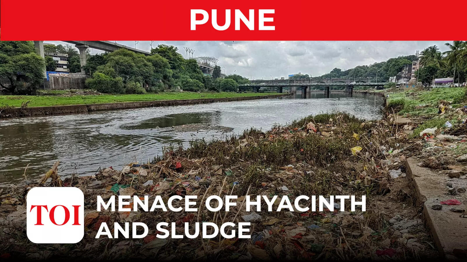 Pune: Increasing water pollution in Mutha river creates problems for ...