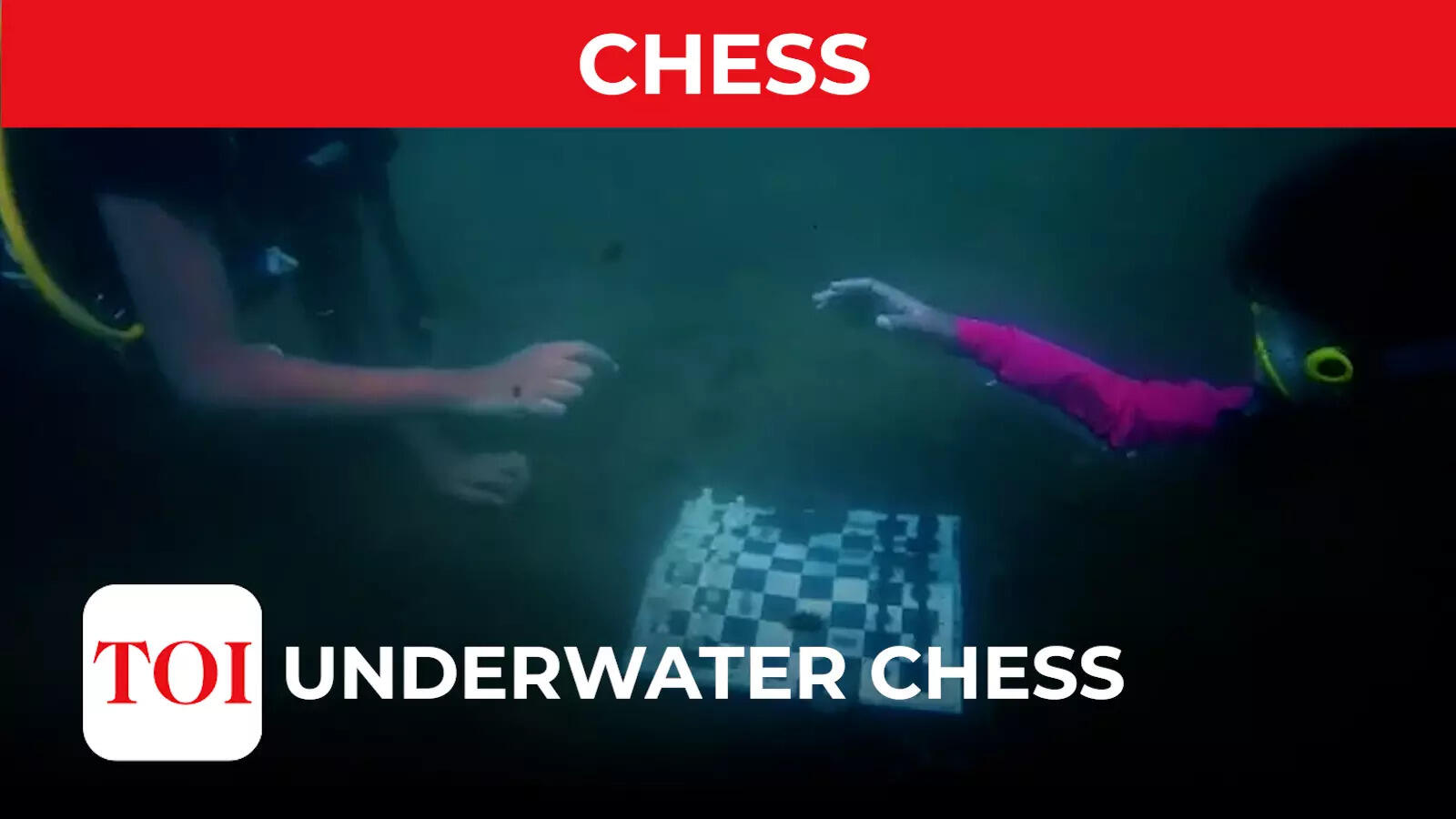 Watch: Chess played 60 feet under the sea off Chennai