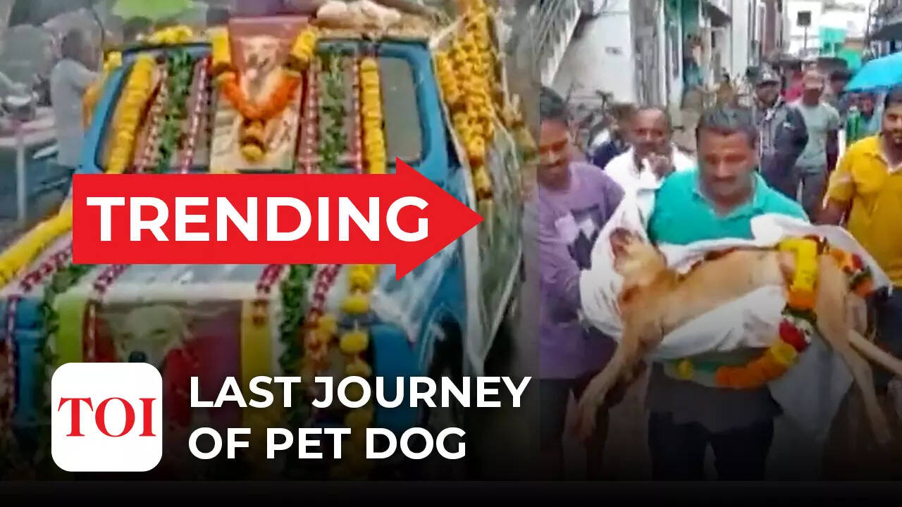 Watch: Odisha family bids tearful adieu to dog by performing last rites ...