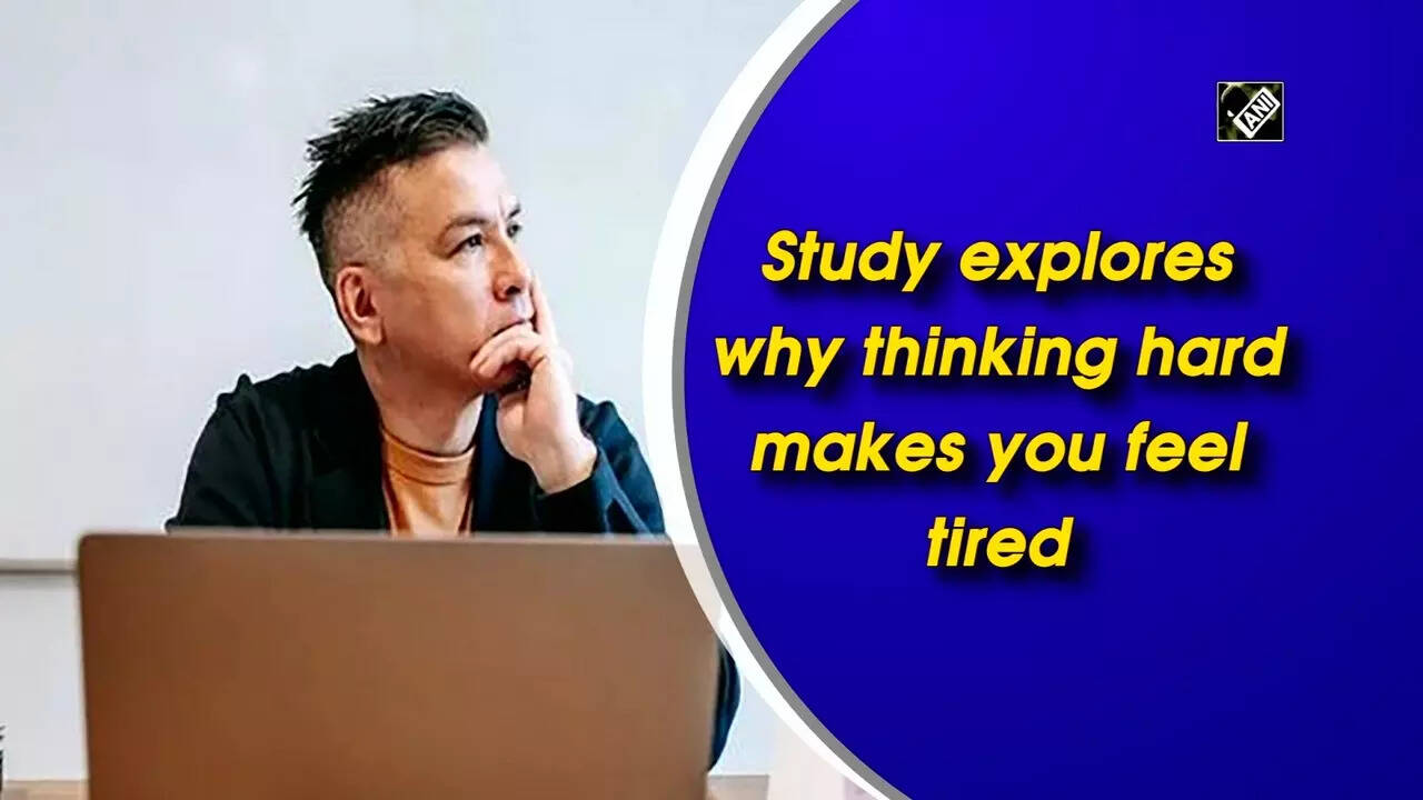 Study explores why thinking hard makes you feel tired
