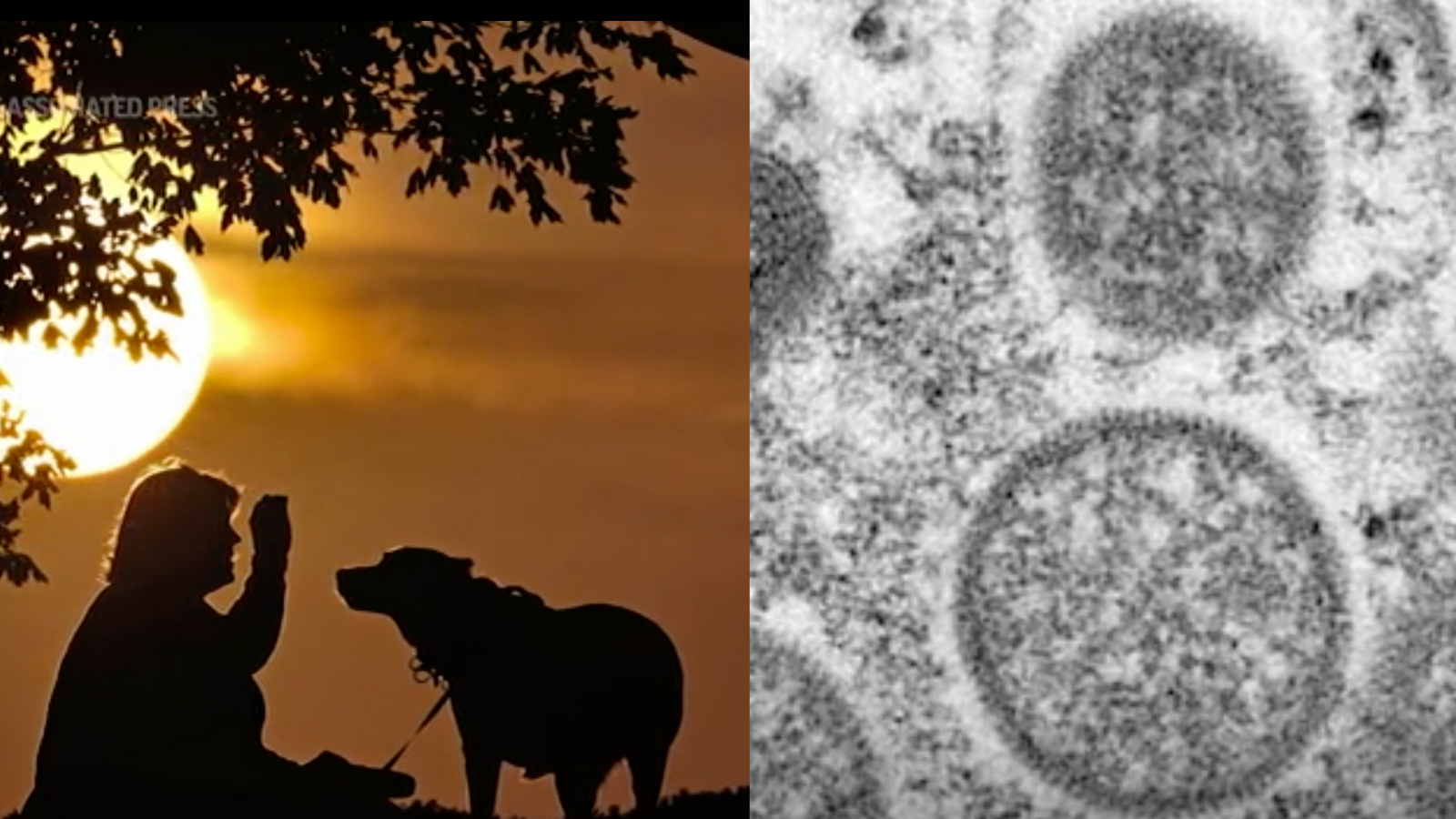 Monkeypox scare: Health officials warn infected individuals to stay ...
