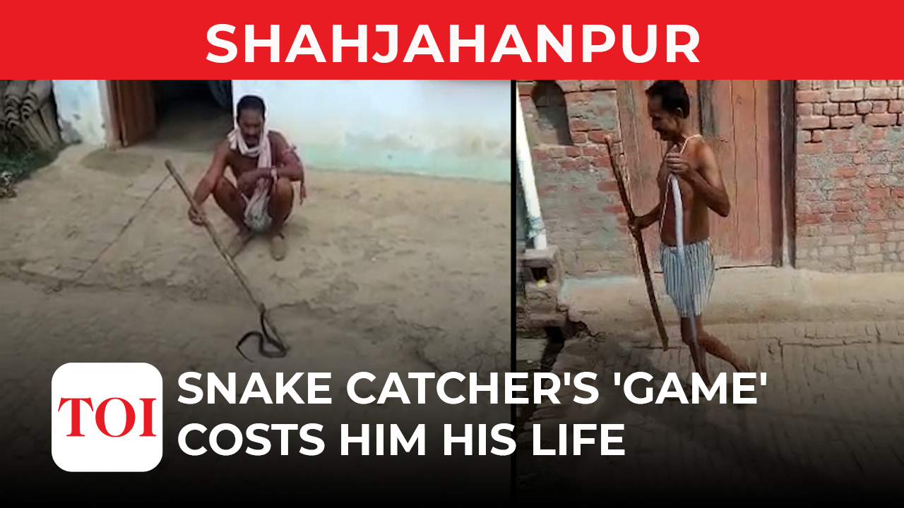 Watch: UP man films a video of playing with venomous snake, suffers ...