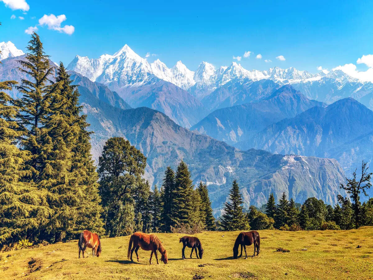 In pictures: Best of Uttarakhand’s Kumaon region | Times of India Travel