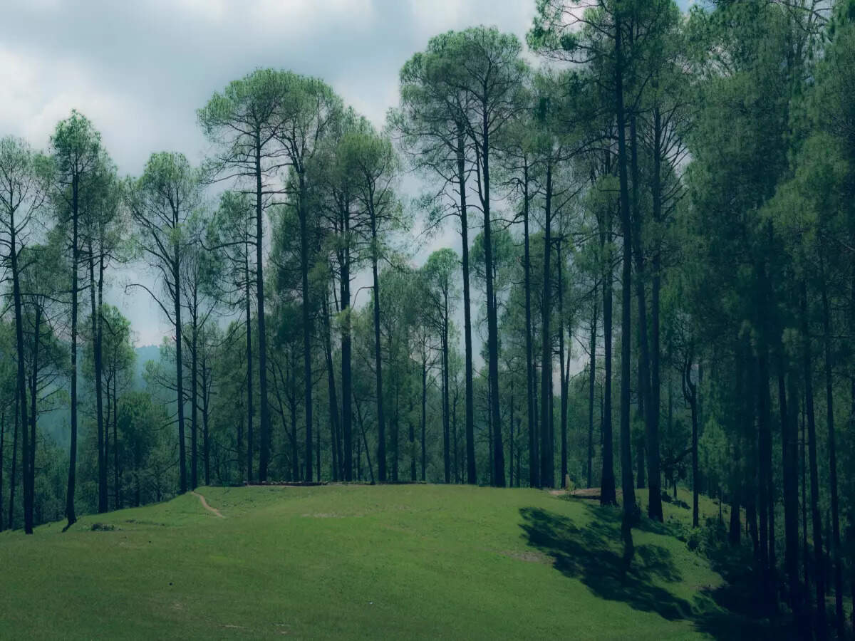 In pictures: Best of Uttarakhand’s Kumaon region | Times of India Travel
