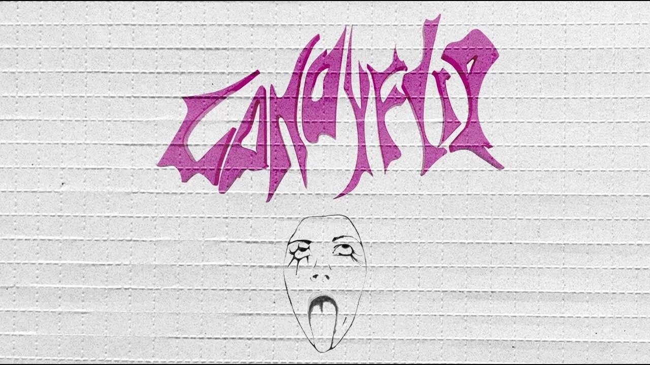 latest hindi: Check Out The Latest Hindi Audio Song 'Candy Flip' Sung ...