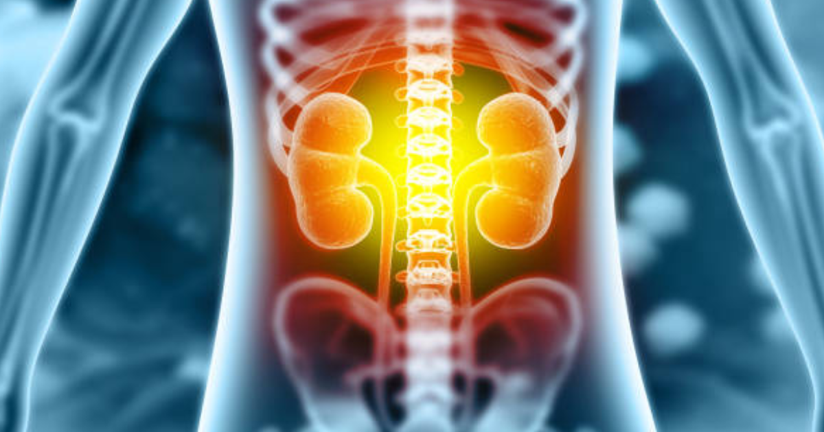 Ways your kidneys signal you to visit a doctor immediately