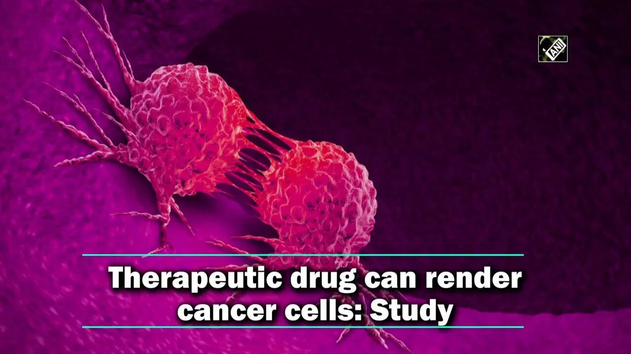 Therapeutic drug can render cancer cells: Study
