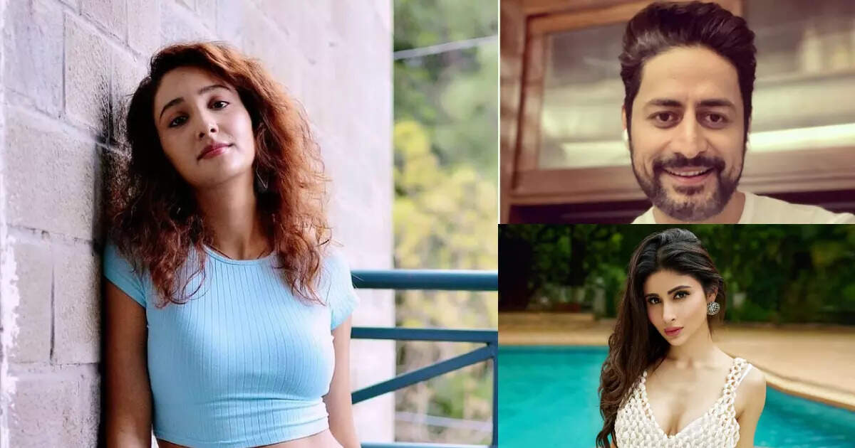 Exclusive: Shivya Pathania on TV celebs breaking stereotypes, ‘Look at Mohit Raina, Mouni Roy ...