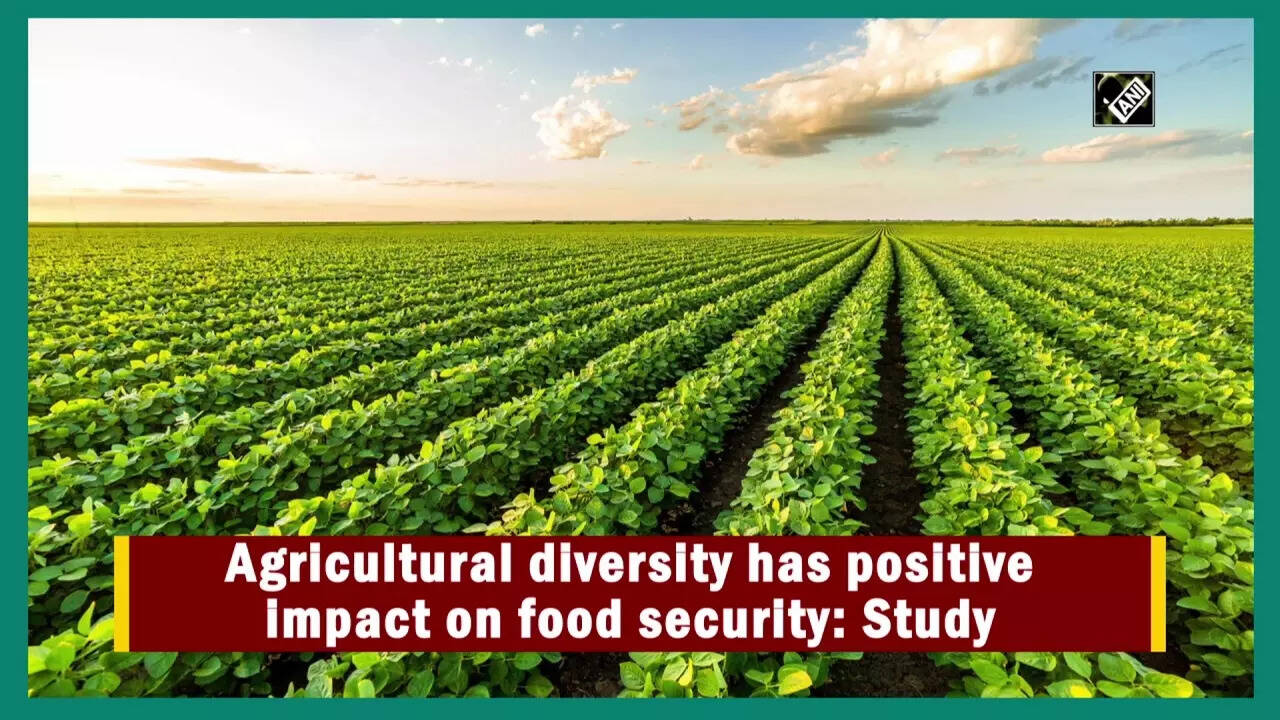 Agricultural diversity has positive impact on food security: Study