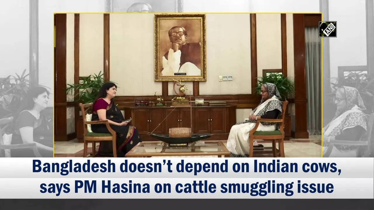 Bangladesh doesn’t depend on Indian cows, says PM Hasina on cattle ...