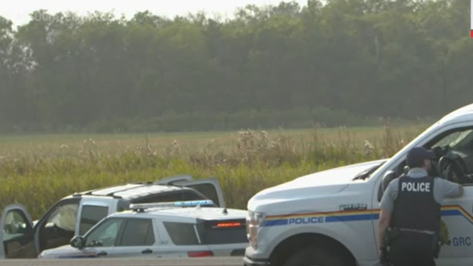 Canadian police arrest stabbing rampage suspect