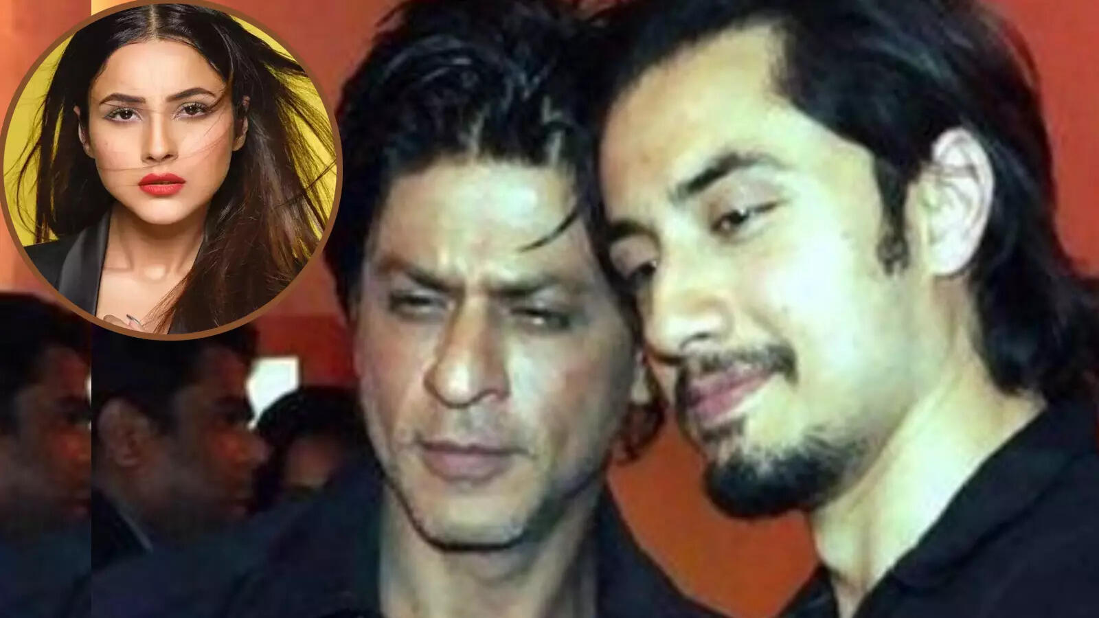 Pakistani actor Ali Zafar says Shah Rukh Khan shouldn't collaborate ...
