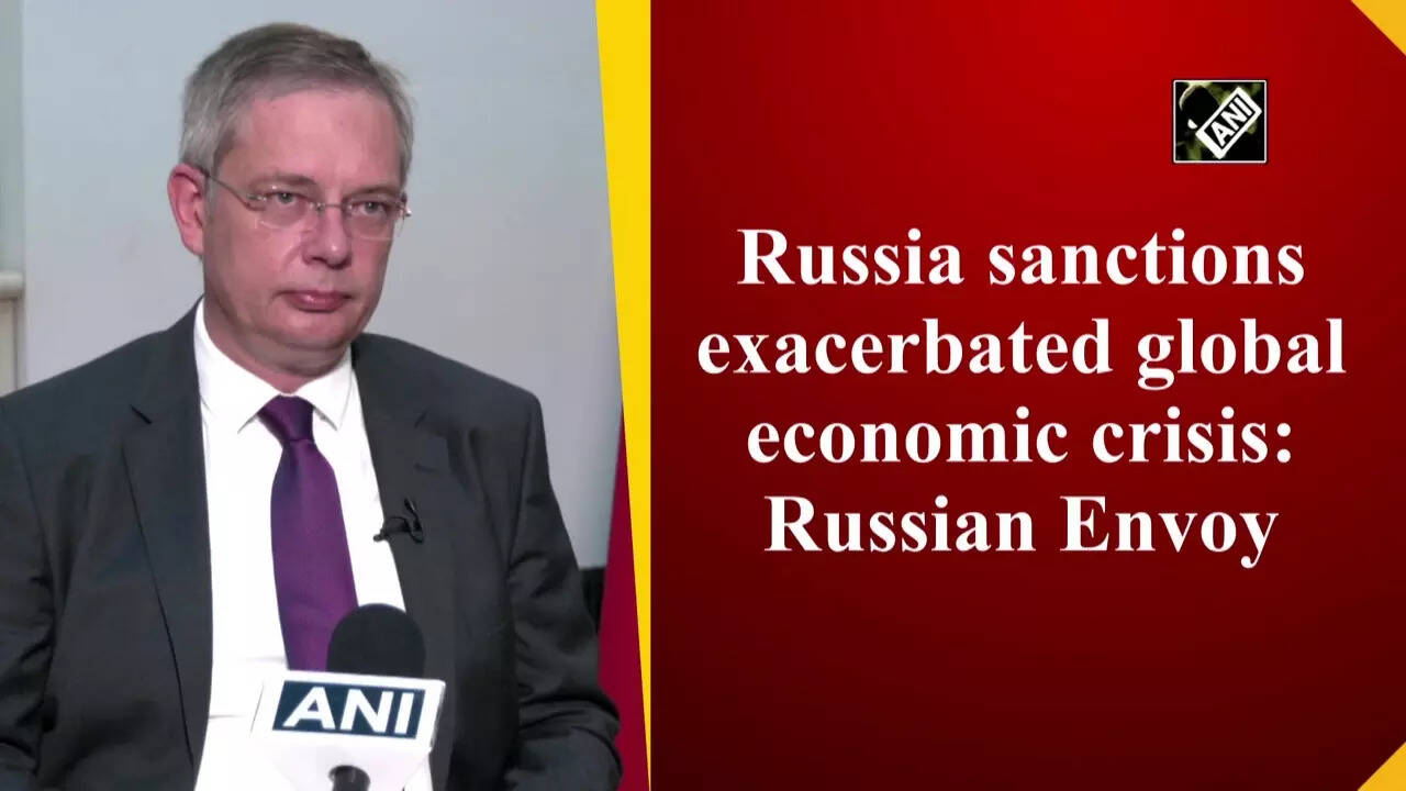russia: Russia sanctions exacerbated global economic crisis: Russian Envoy
