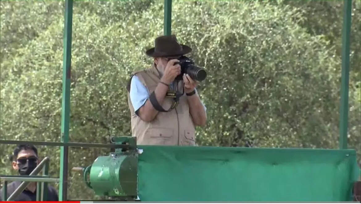 Prime Minister Narendra Modi releases 8 cheetahs in MP's Kuno National ... Prime Minister Narendra Modi releases 8 cheetahs in MP's Kuno National ...
