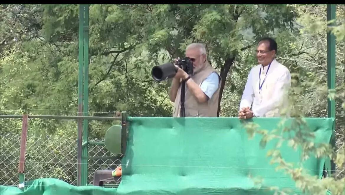 Prime Minister Narendra Modi releases 8 cheetahs in MP's Kuno National ... Prime Minister Narendra Modi releases 8 cheetahs in MP's Kuno National ...