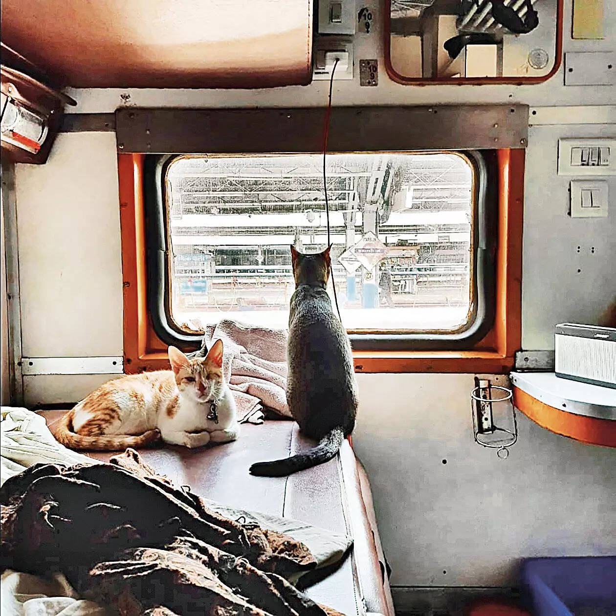 Convenient, hassle-free and affordable: Train is the go-to travel mode ...