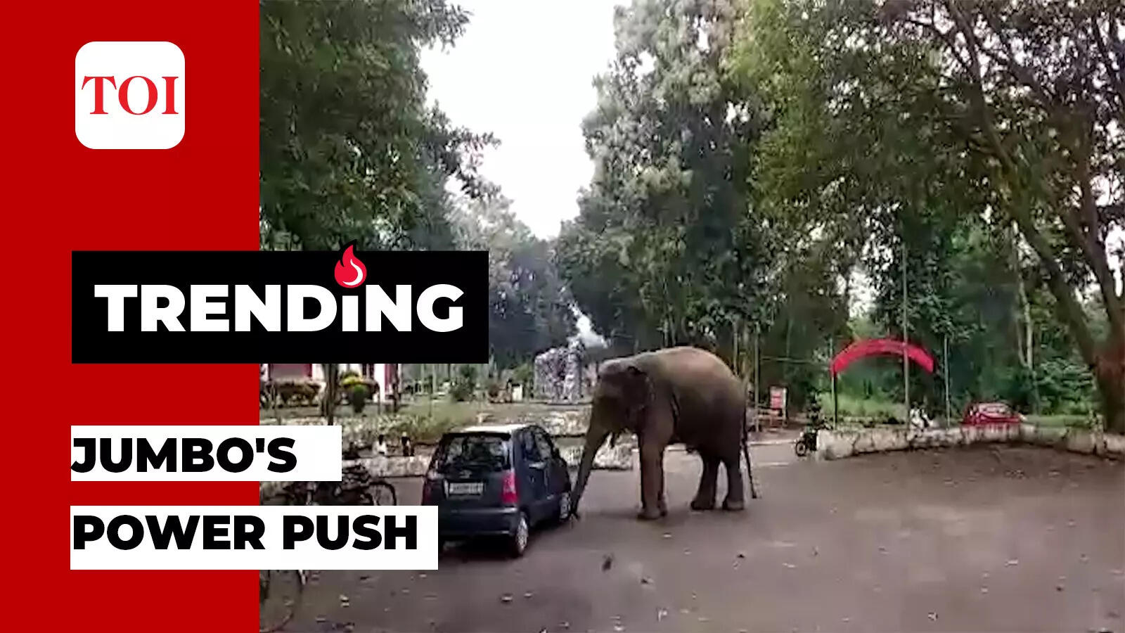 Watch: Elephant tries to break into car at Narengi Military Station in ...