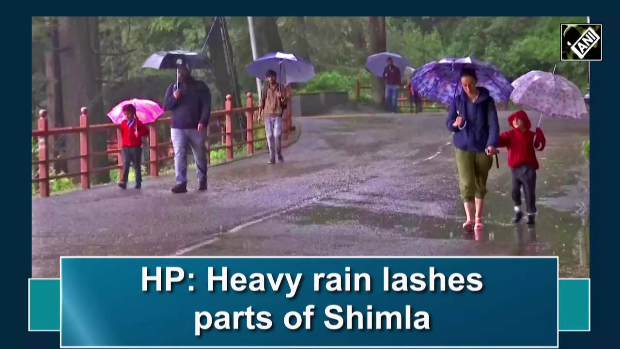 shimla: HP: Heavy rain lashes parts of Shimla