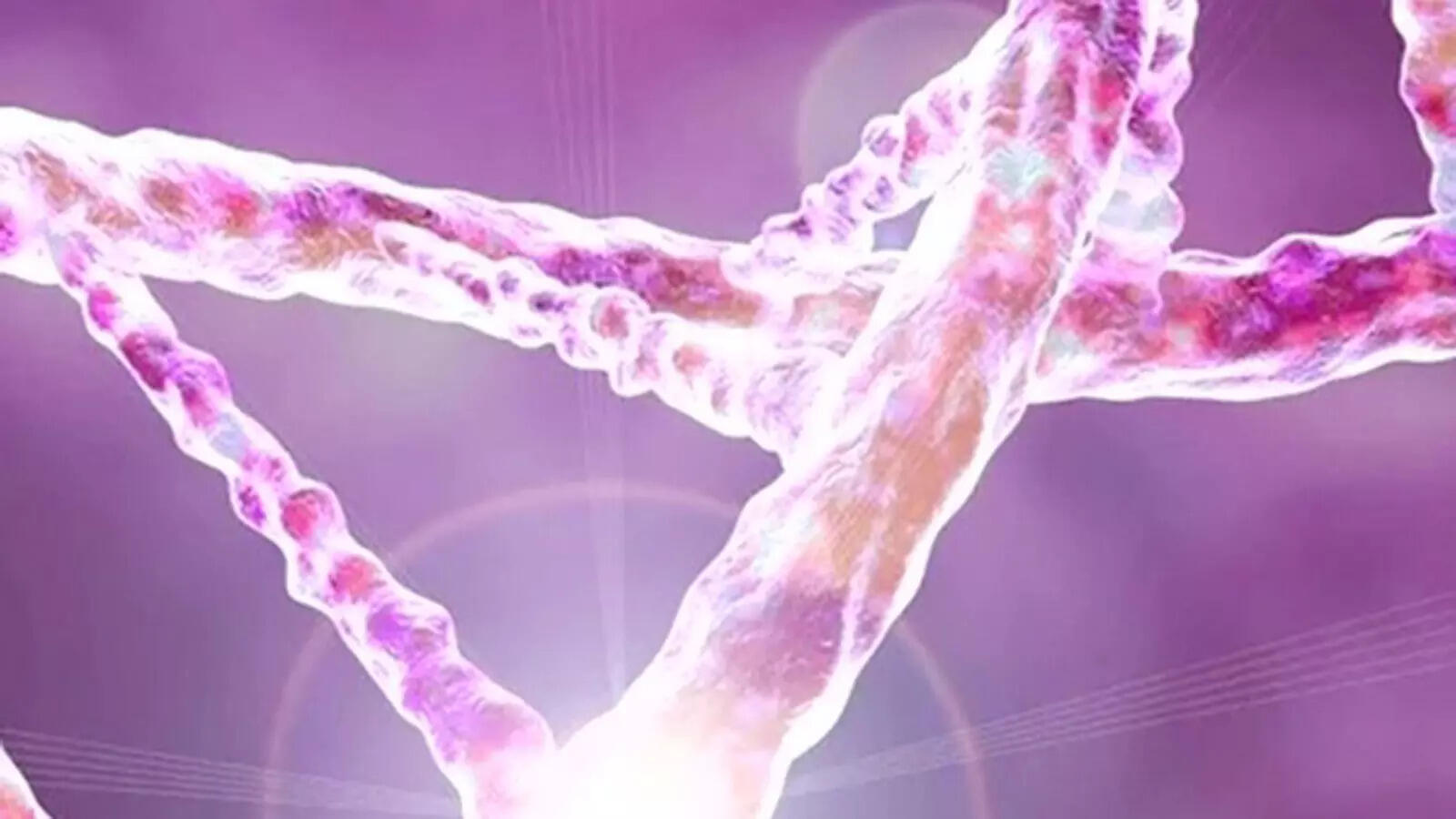 Cancer-causing gene regulates genetic variation in prostate cancer ...