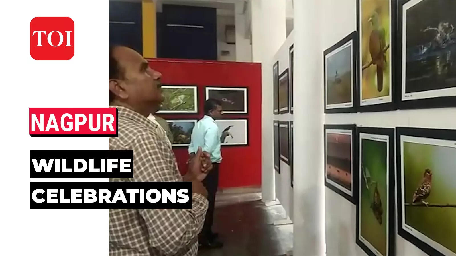 Wildlife Week Celebrations: Wildlife photography exhibition organised ...
