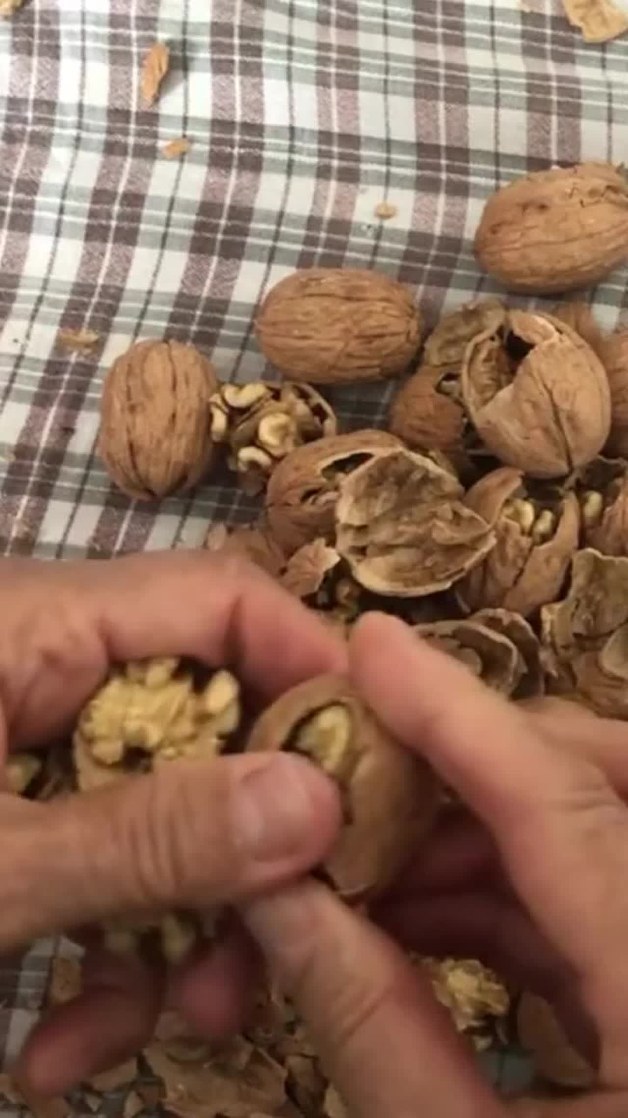 Walnuts - Times Food