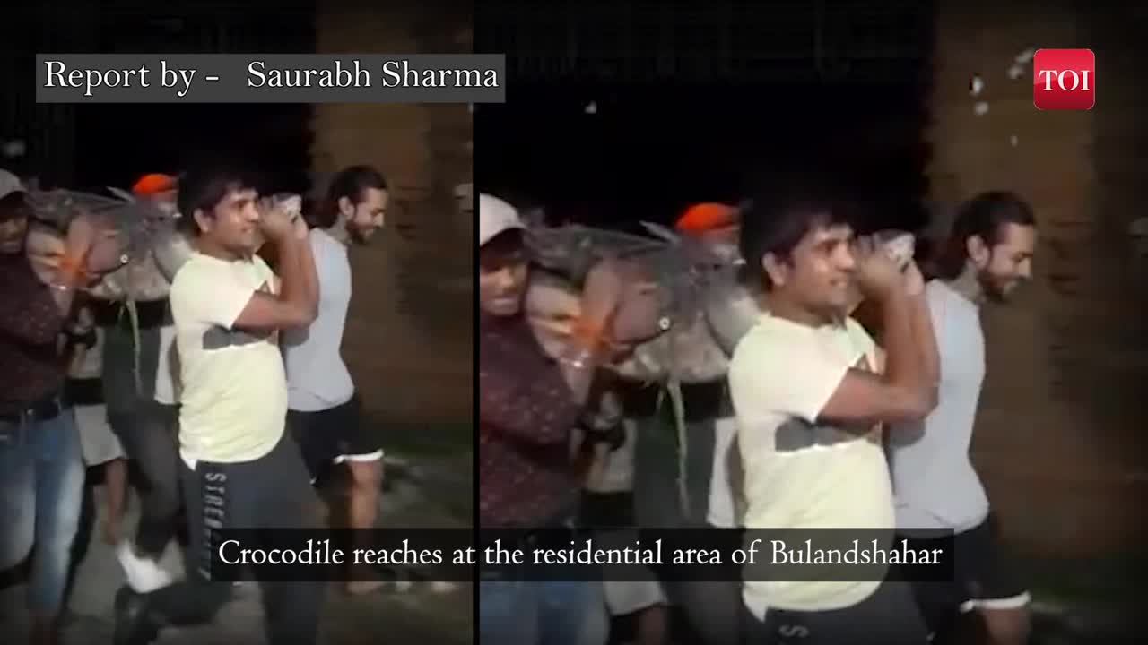 A giant crocodile swept into a residential area of Bulandshahar