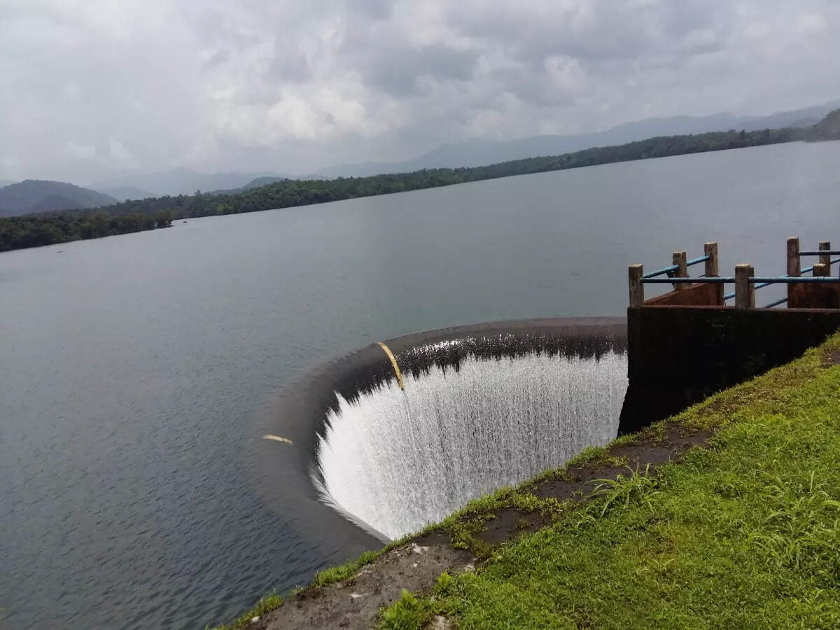 Salaulim Dam: The road less travelled in Goa | Times of India Travel