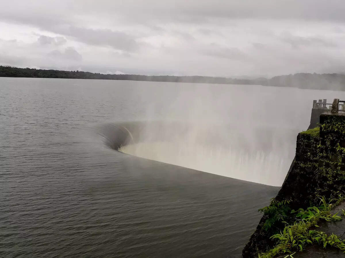 Salaulim Dam: The road less travelled in Goa | Times of India Travel