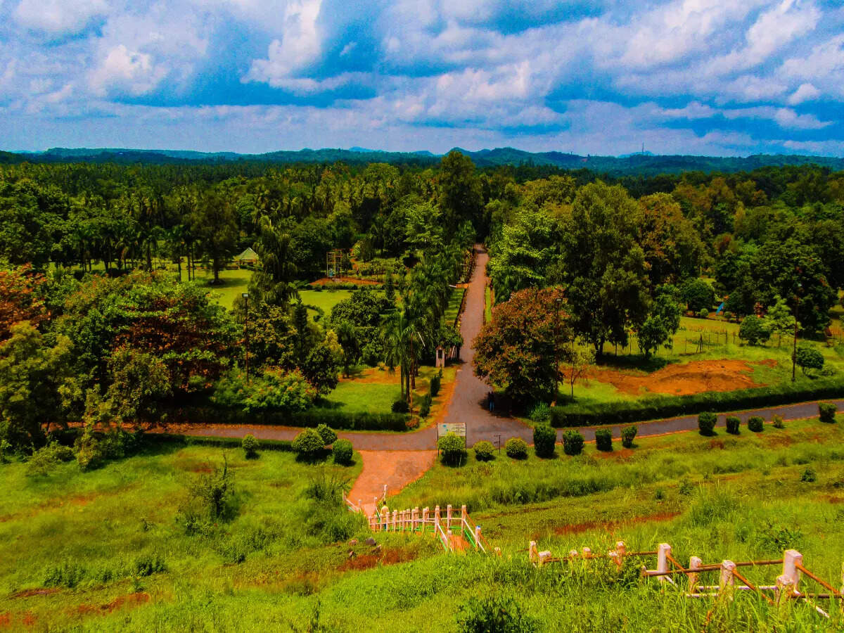 Salaulim Dam: The road less travelled in Goa | Times of India Travel