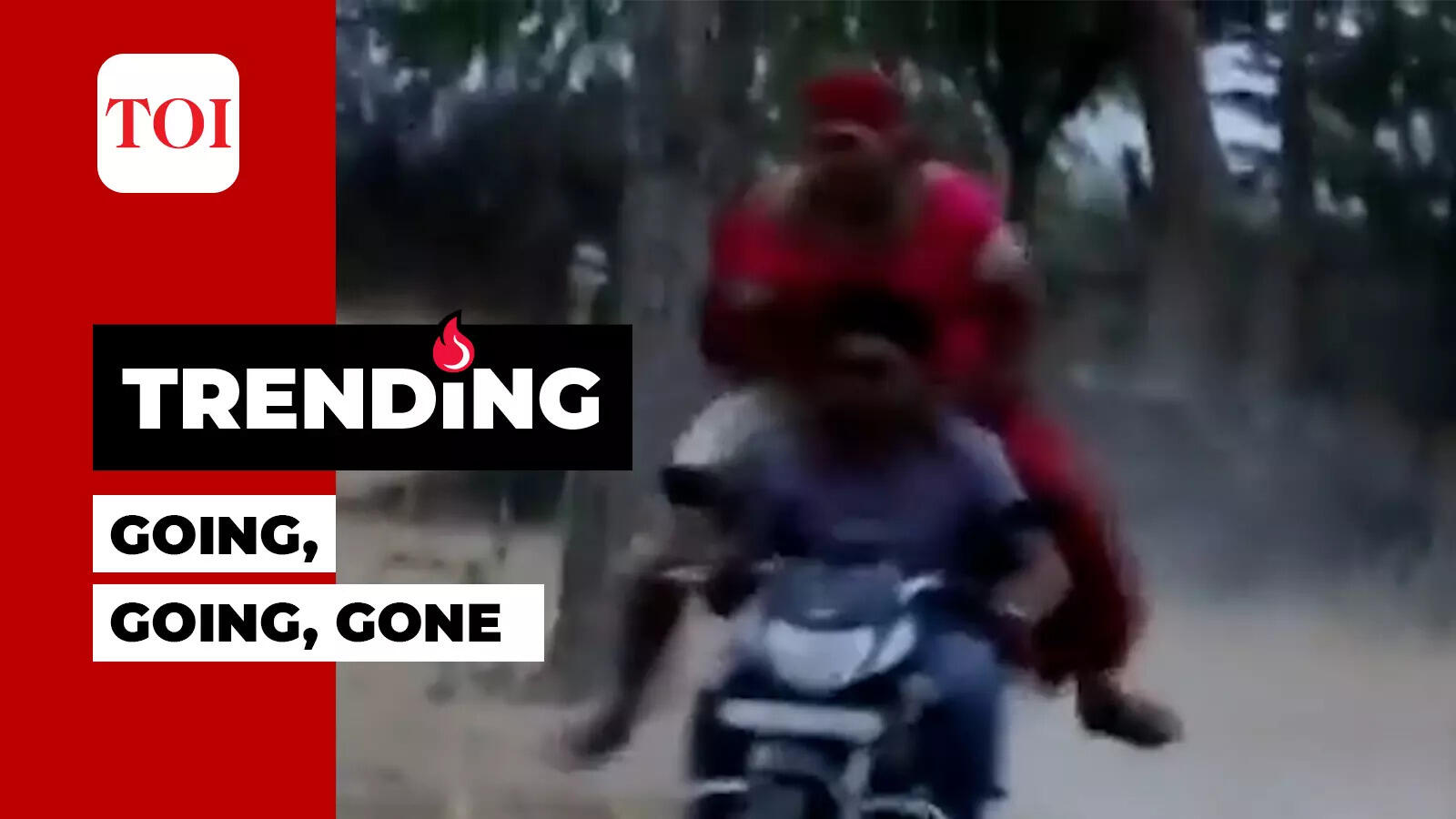 viral video: Viral video: Rash driving- don’t try this at home