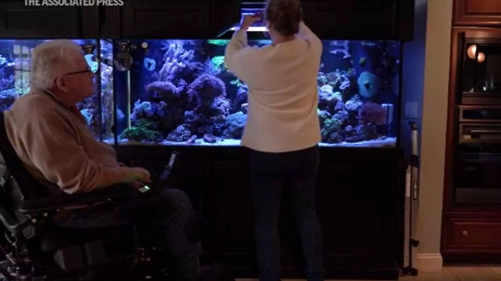 The murky rules of the aquarium fish trade