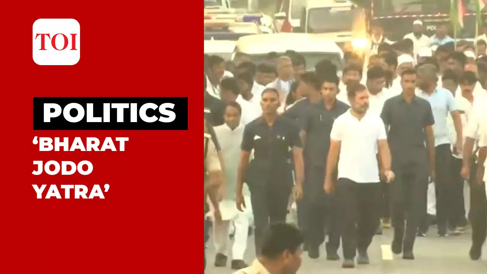 Congress' Bharat Jodo Yatra: Rahul Gandhi resumes last leg in Karnataka