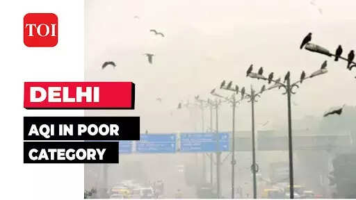 air quality: Delhi: Day ahead of Diwali, poor air quality chokes national capital, AQI in 'poor ...