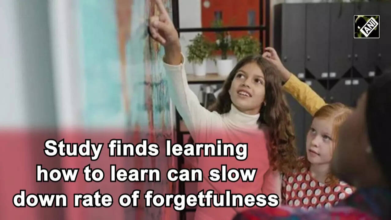 Study finds learning how to learn can slow down rate of forgetfulness