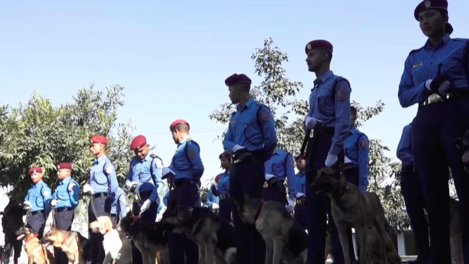 Nepal celebrates 'Kukur Tihar', Day of the Dog