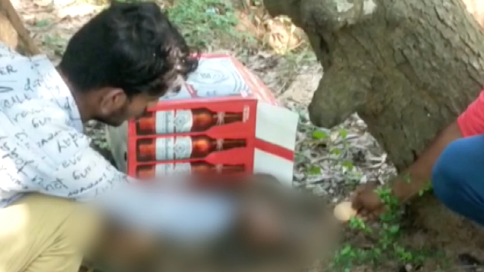 Andhra Pradesh: 40 monkeys found dead in Silagam village