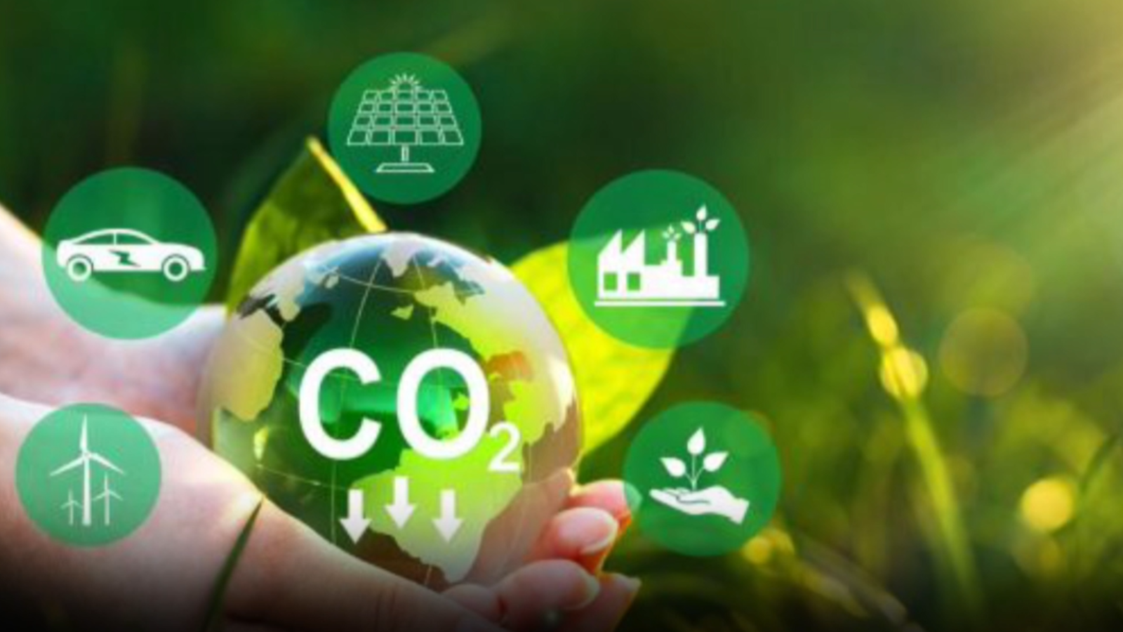 We could save 6 lakh tonnes of CO2 every year just by leaving garden ...