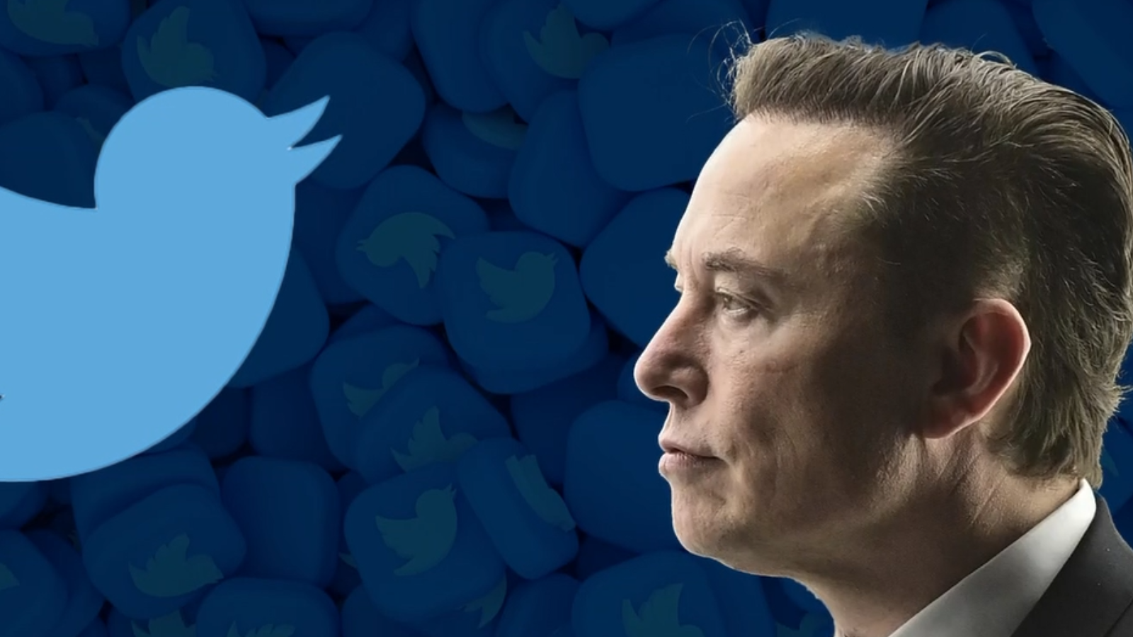 “The bird is free”, Elon Musk takes over Twitter, purges Top executives