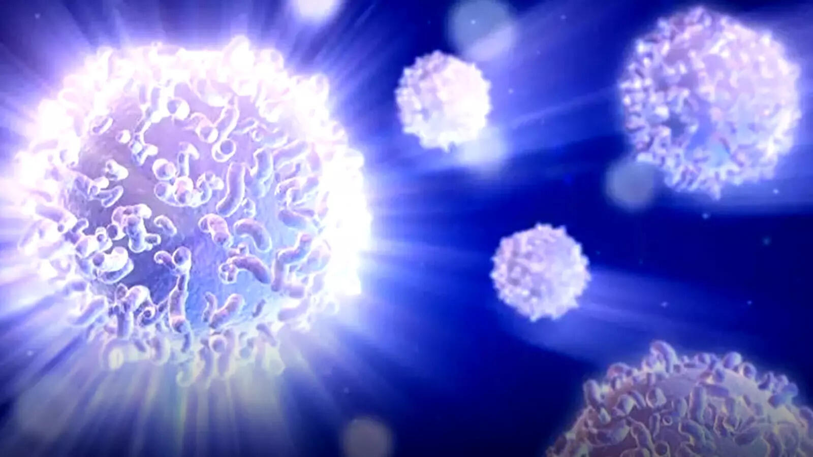 Study finds immune memory cells are stored in bone marrow at one single ...